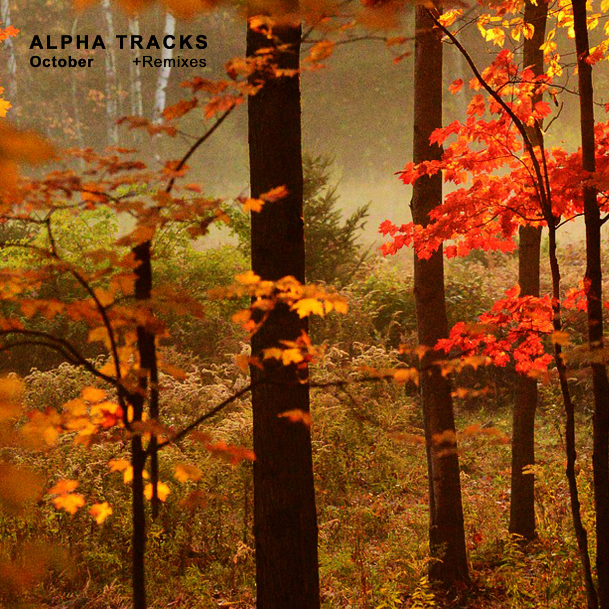 Alpha Tracks | NovaFuture Blog