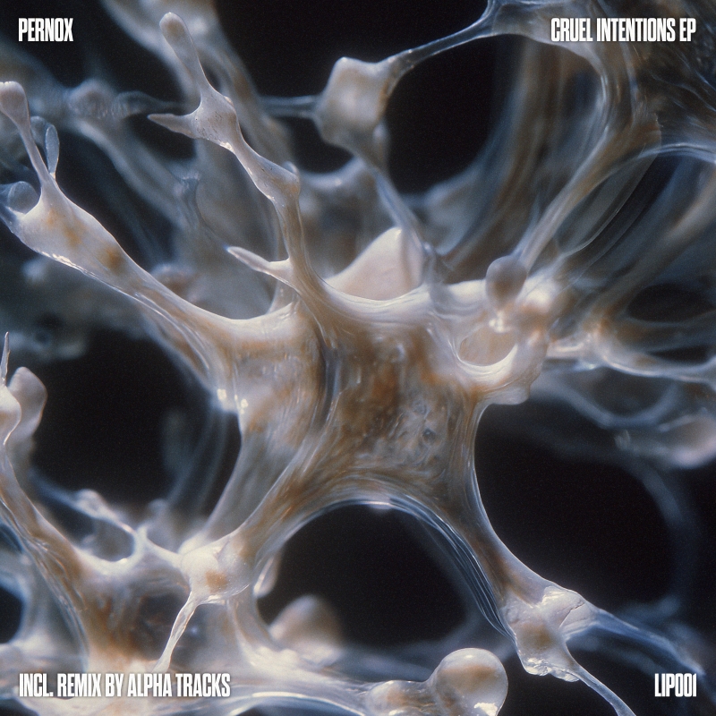 out now: Pernox - Cruel Intentions EP [Lost In Perception] | NovaFuture ...